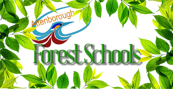 Forest Schools - Attenborough School