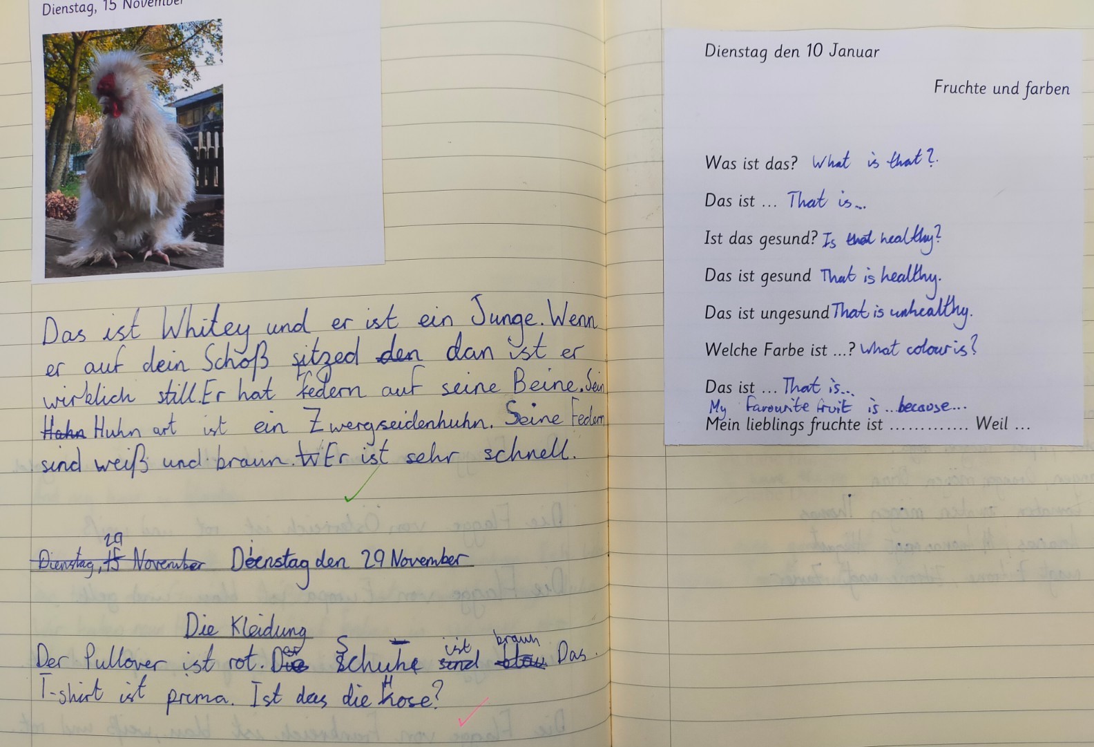 German - Attenborough School